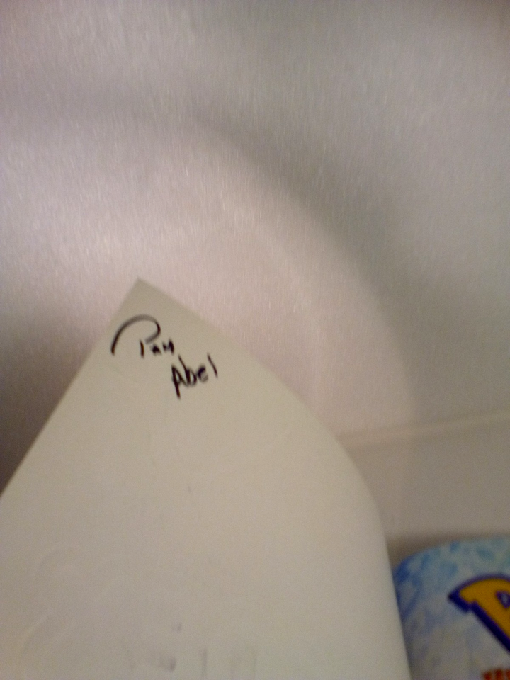 Pokemon HeartGold & SoulSilver Versions Strategy Guide Johto Pokedex W ...