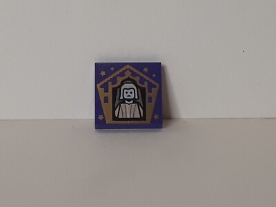 LEGO Harry Potter Wizard Cards Nicholas Flamel | eBay