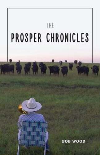 The Prosper Chronicles by Robert E Wood: Used 9780999478424 | eBay