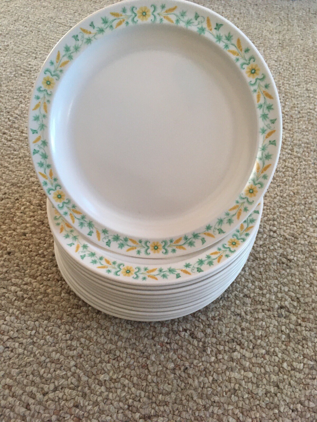 Melamine Prolon 8” Salad Plates w/ Flowery Borders Set of 24 | eBay