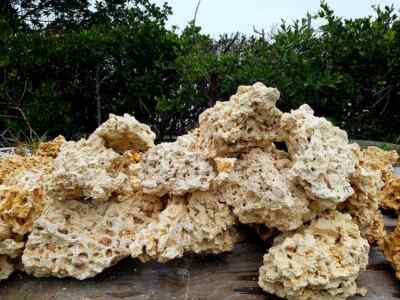 20 lbs Med/Lrg Dry Reef Base Rock, Lightweight, Porous, Great for ...