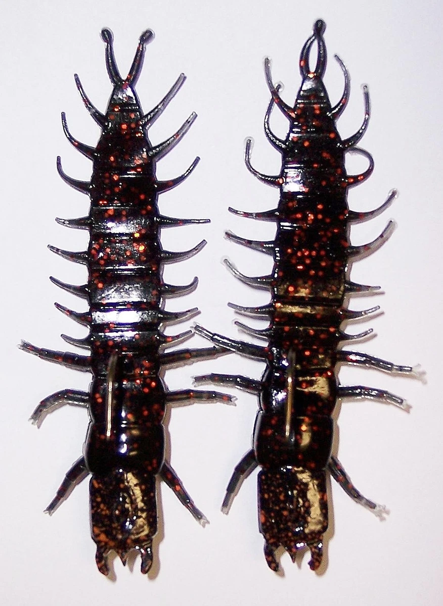 Hellgrammite Larvae