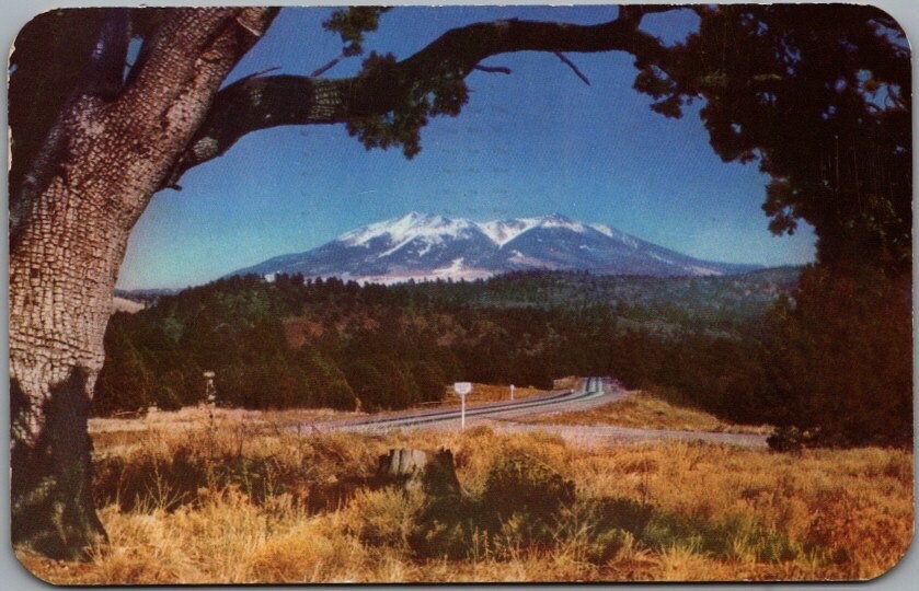 1950 Flagstaff, Arizona ROUTE 66 Postcard "Snow-Covered San Francisco ...