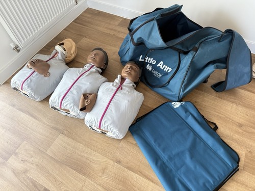 Laerdal Little Anne CPR Manikin | eBay UK