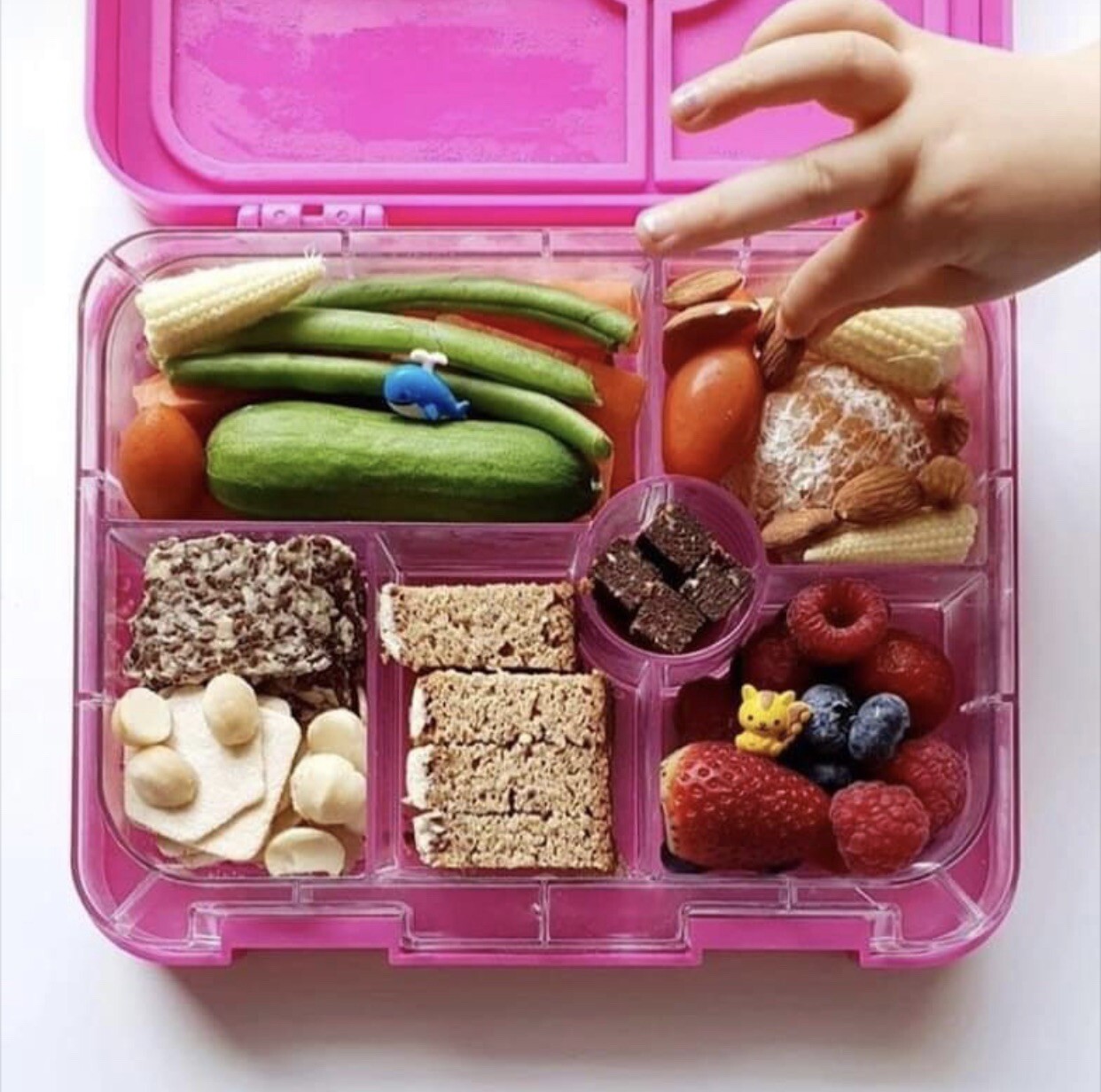 Clear 6 Section Bento Tray | eBay