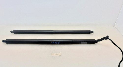 16-23 OEM Tesla Model X Rear Left Right Power Trunk Liftgate Strut ...