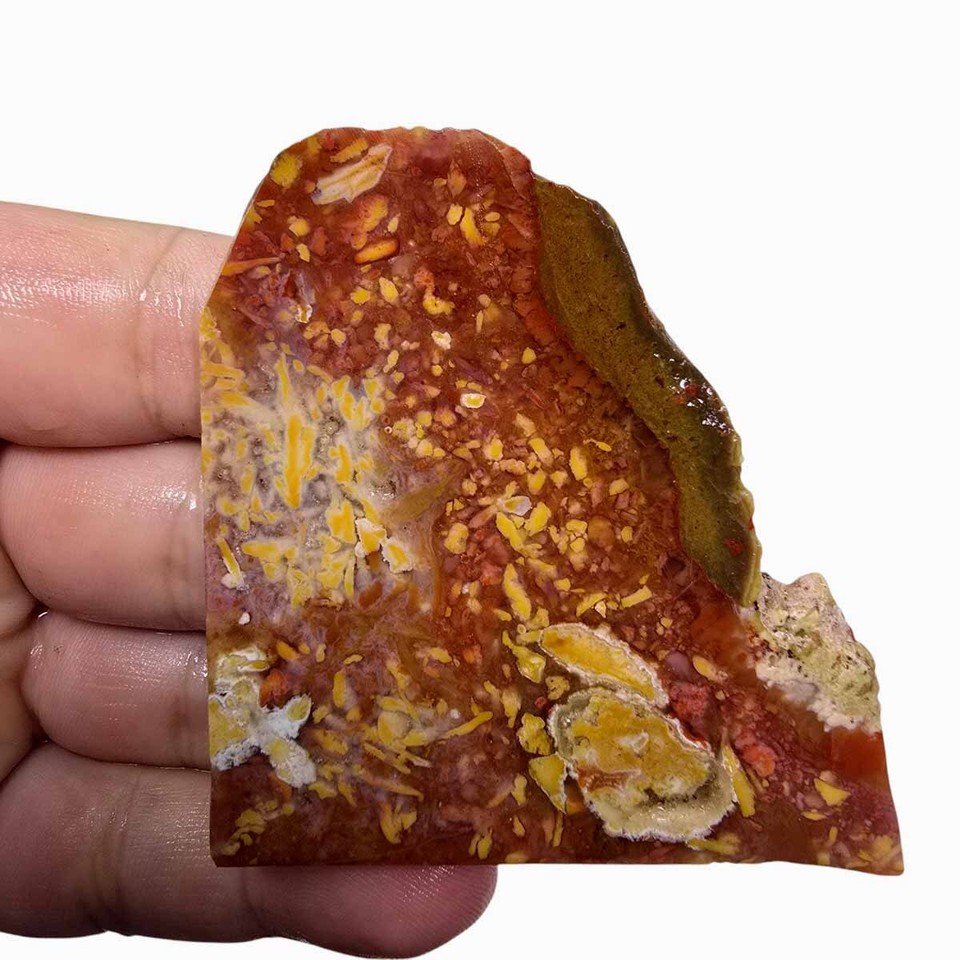 Confetti Agate Slab Lapidary Stone Slice Cut Rock | eBay