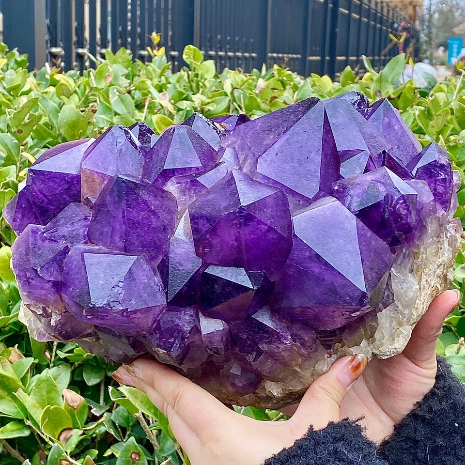17.49LB Natural ore amethyst backbone cluster crystal tooth mineral ...