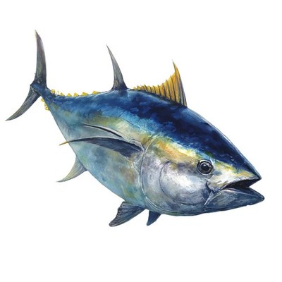 Bluefin Tuna Art Vinyl Car Decal Sticker – Waterproof & UV-Resistant | eBay