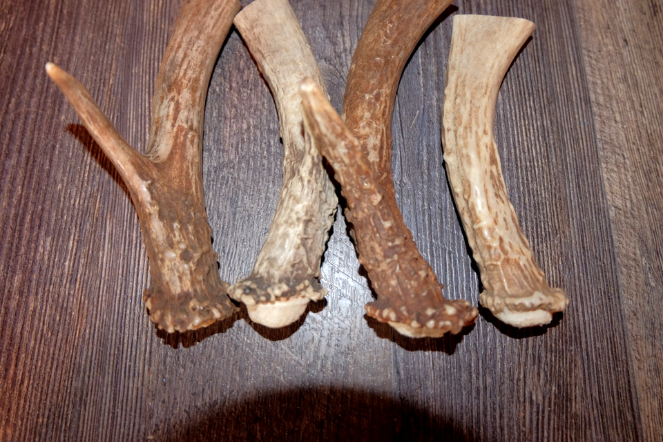 4 Antler Knife Handle Blanks: Crafts Dog Chew Treats #89 | eBay