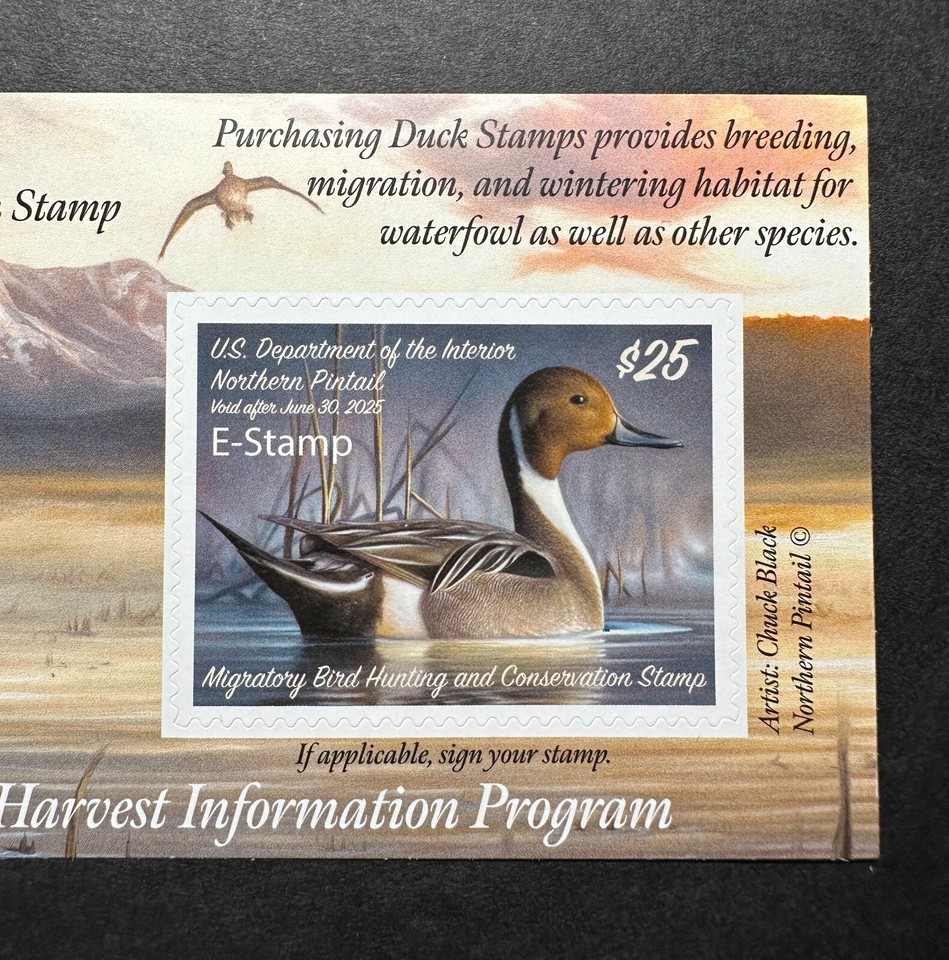 WTDstamps - #RW91A / RW91B 2024 - Federal Duck Stamp -- "E-Stamp ...