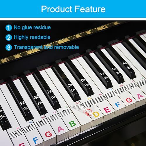 Lrokimg 1Pack Piano Keyboard Stickers 88/76/61/54/49/37 Keys Colorful ...