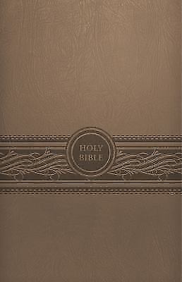 MEV Bible Personal Size Large Print Tan : Modern English Version by ...