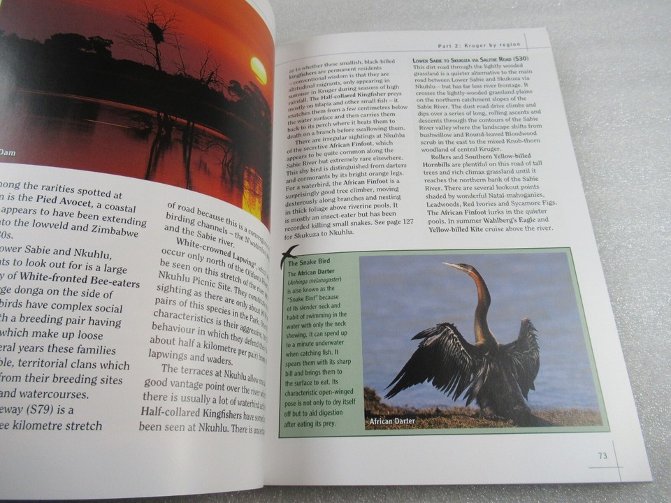 Prime Origins Guide to BEST BIRDING in KRUGER National Park South ...