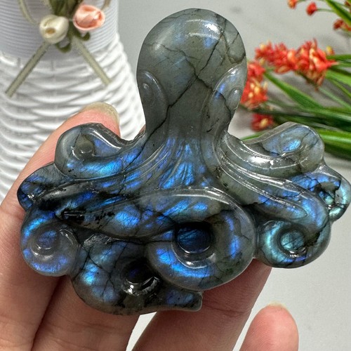 Natural Labradorite Carved OCTOPUS Quartz Skull Crystal Specimen Reiki ...