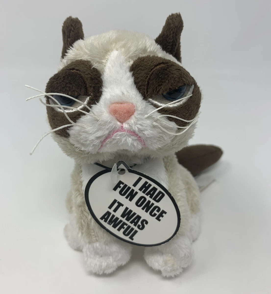 Grumpy Cat Meme I Had Fun Once