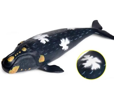 Bowhead Whale Sea Animal Toy PVC Action Figure Doll Kids Toys Soft ...