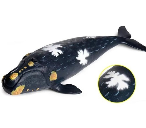 Bowhead Whale Sea Animal Toy PVC Action Figure Doll Kids Toys Soft ...