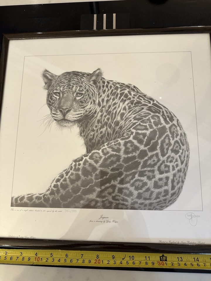 Signed Gary Hodges Jaguar’ Print Glazed and Framed Used Condition Rare ...