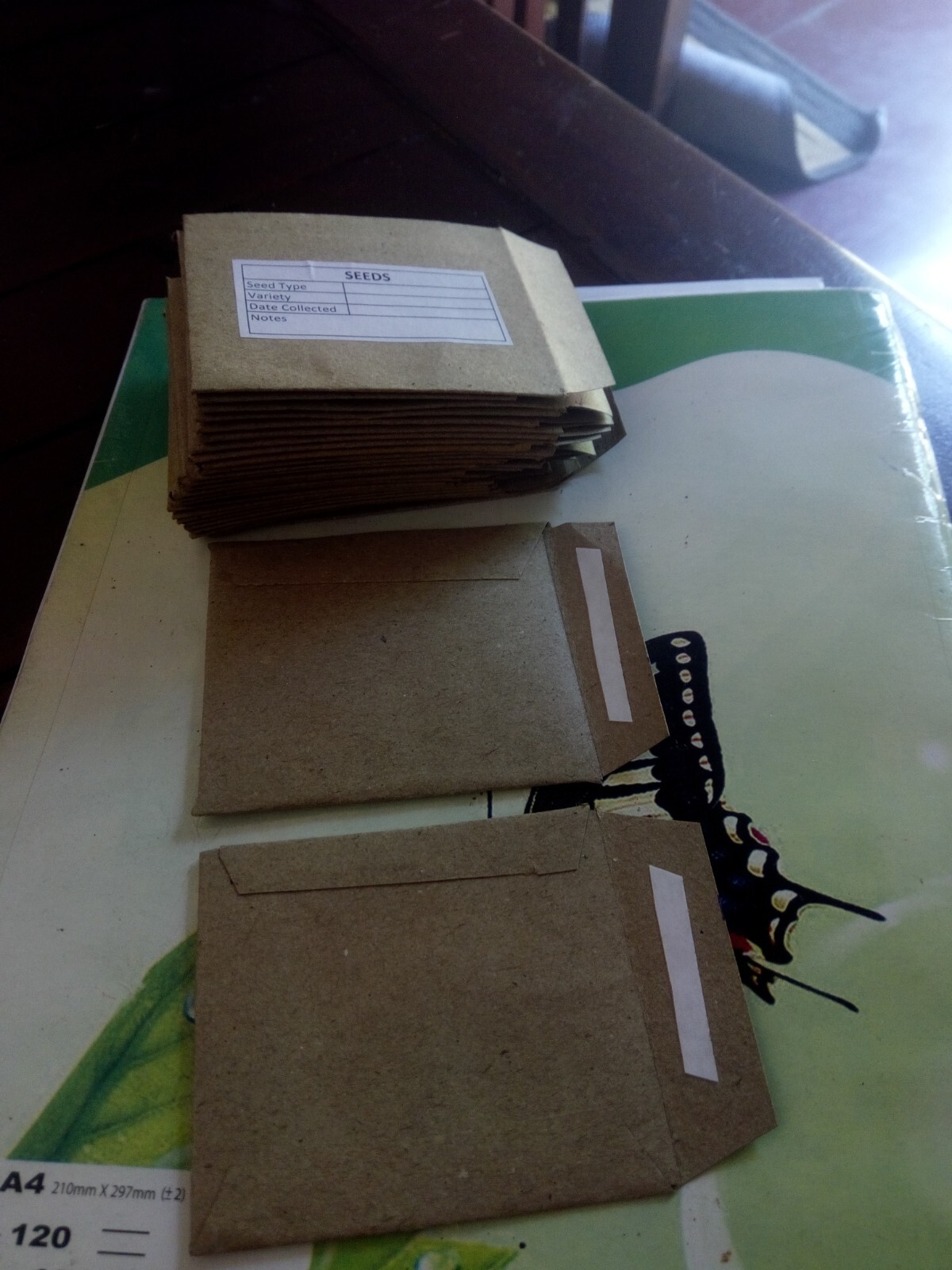 50Pcs Seed Saving Envelopes, Bulk 2.5x3 Empty Paper Packets Seeds ...