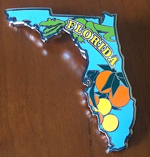 FLORIDA ~ Willabee & Ward ~ STATE PIN ~ United States Collector Pins ...