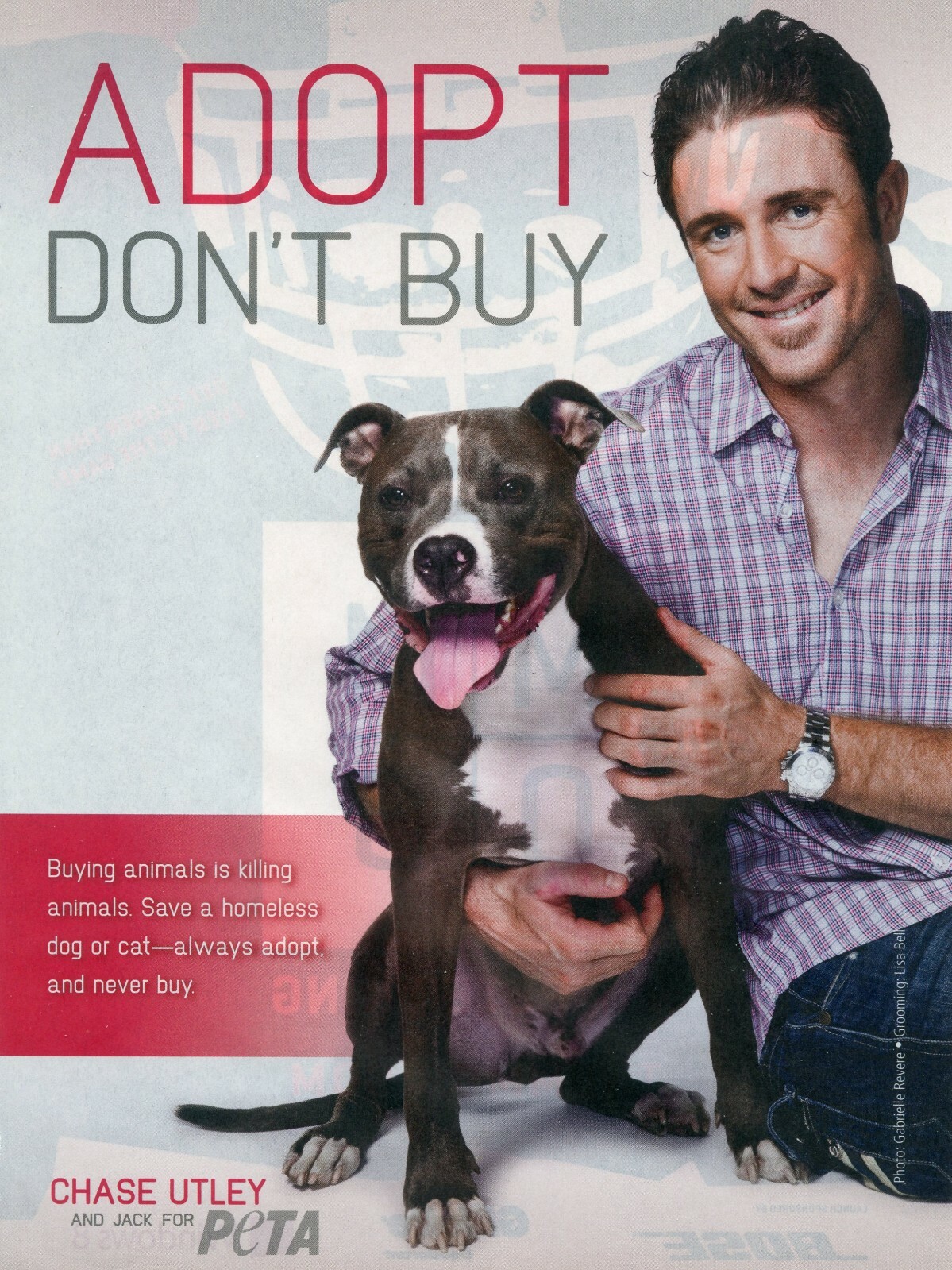 Peta Magazine Ads