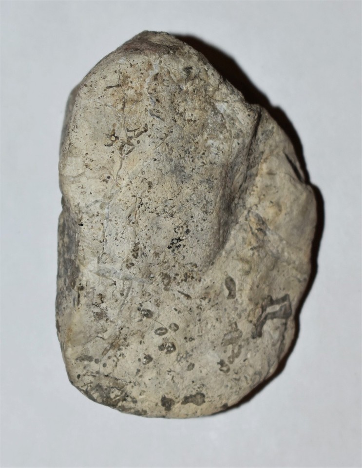 Jade Specimen Rare Blue Ridge Mountains North Carolina USA Blue Ridge ...