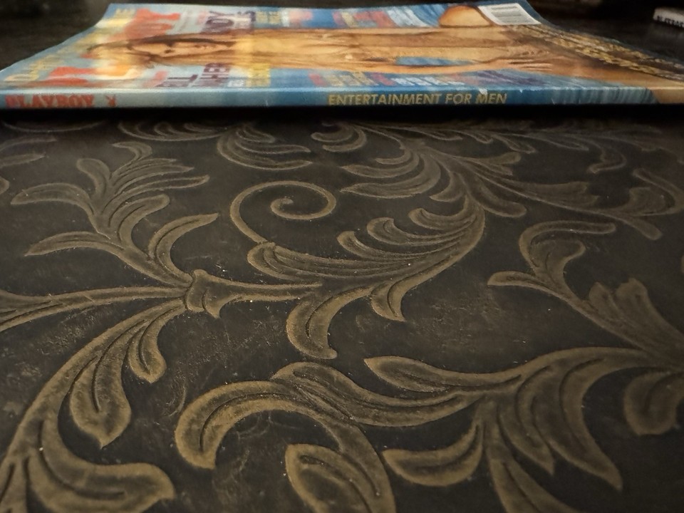 Playboy Magazine JULY 2008 CINDY MARGOLIS Cover | eBay