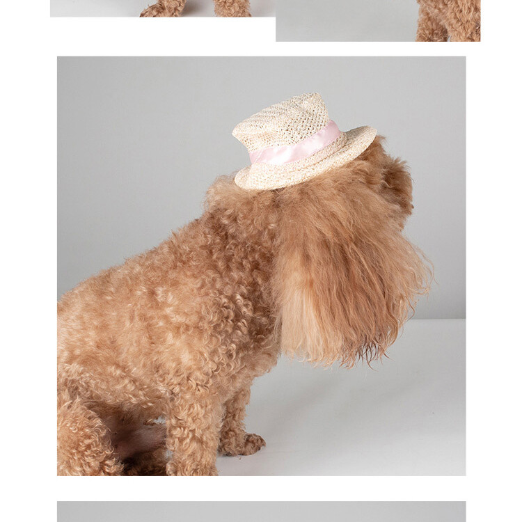 Pet Hat Wheat Straw Woven Sun-proof Hat Cap for Small Dog Cat (S~XL) | eBay