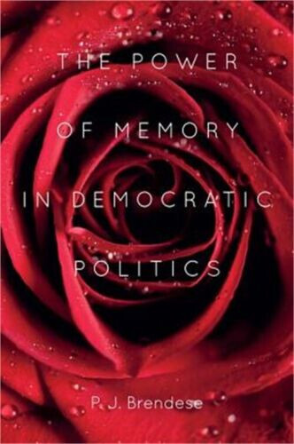 The Power of Memory in Democratic Politics (Political Sociology ...