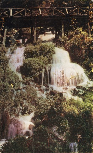 Postcard CA Shasta Springs Resort Cascading Water Footbridge Mount ...