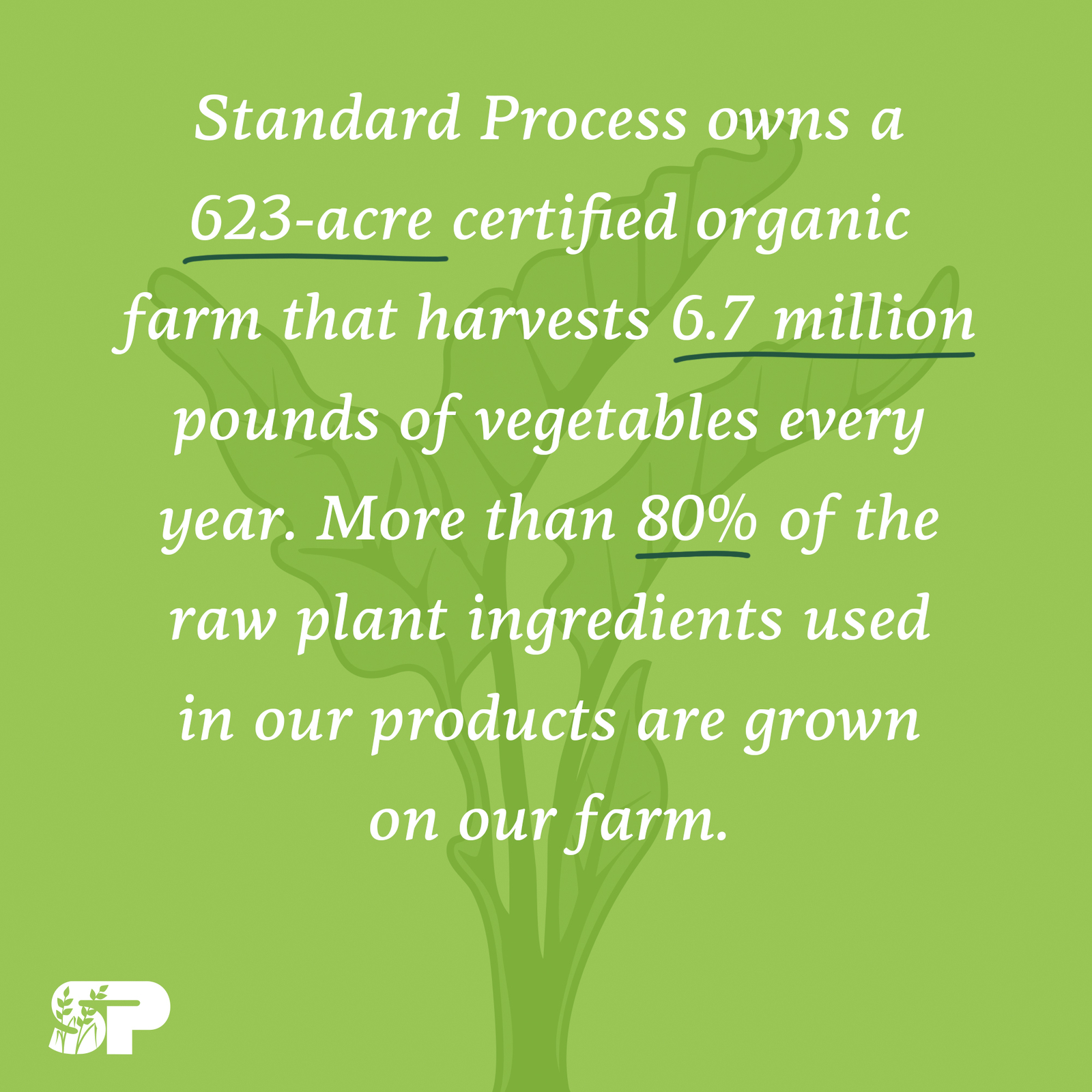 Standard Process Whey Pro Complete - Whole Food Immune Support - 19 ...