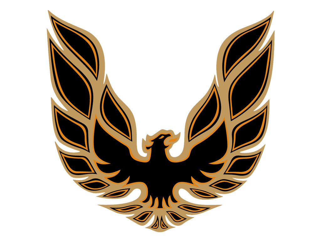 76-78 BANDIT TRANS AM SPECIAL EDITION COMPLETE GOLD DECAL KIT w STRIPES ...