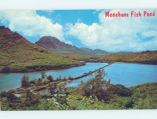 Pre-1980 NATURE SCENE Kauai Hawaii HI AD5800 | eBay