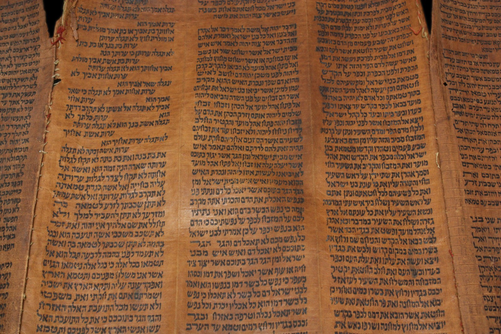 TORAH BIBLE VELLUM MANUSCRIPT COMPLETE Leviticus Scroll 400-500 YRS OLD ...