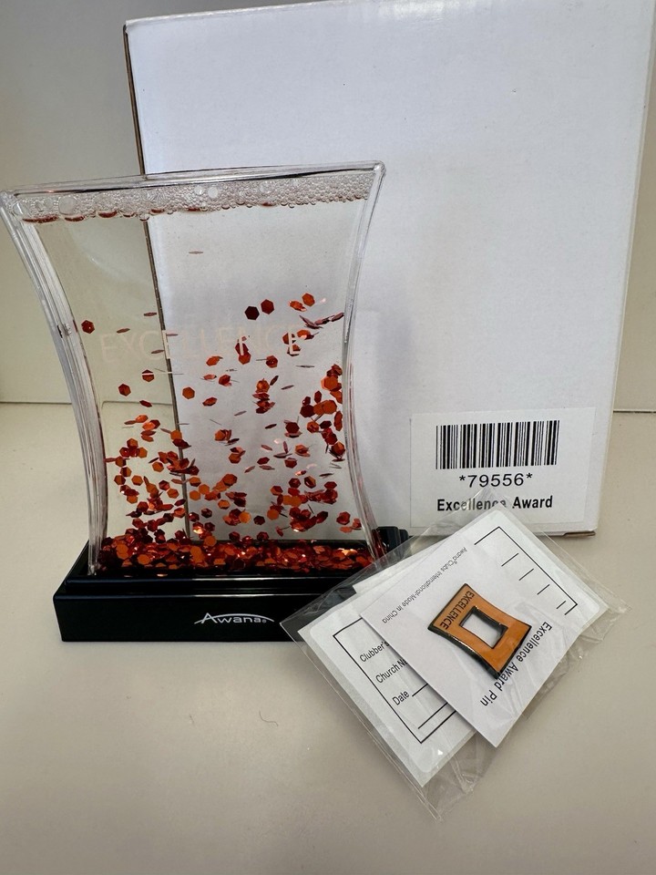 Awana Excellence Award NIB plus Excellence pin. | eBay