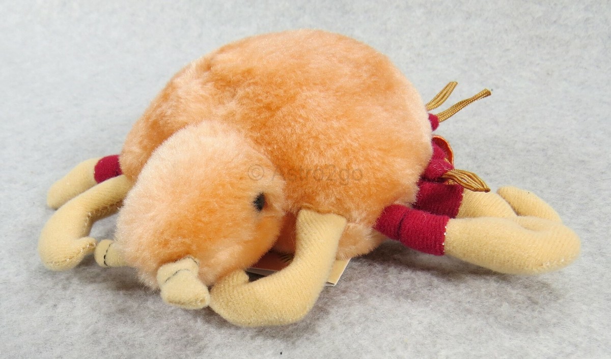 Crabs Std Pubic Lice Syn. Pediculosis Pubis