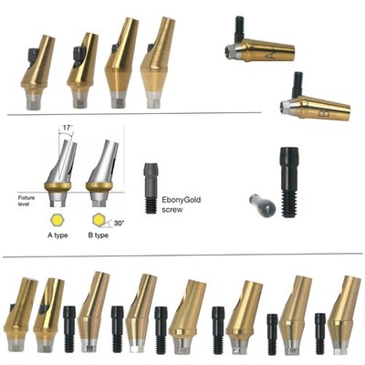Dental Angled Anatomic Abutment 17° Fits Mini /Regular Platform Osstem ...
