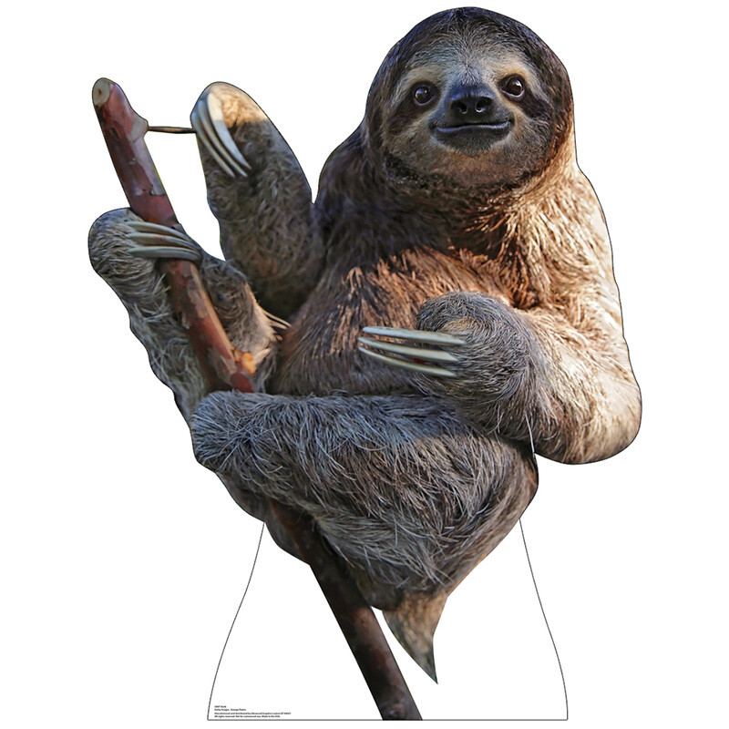SLOTH Bigger Than Lifesize CARDBOARD CUTOUT Standup Standee Poster ...