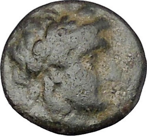 ANTIOCHOS II Theos 261BC Apollo Kithara Lyre Authentic Ancient Greek ...