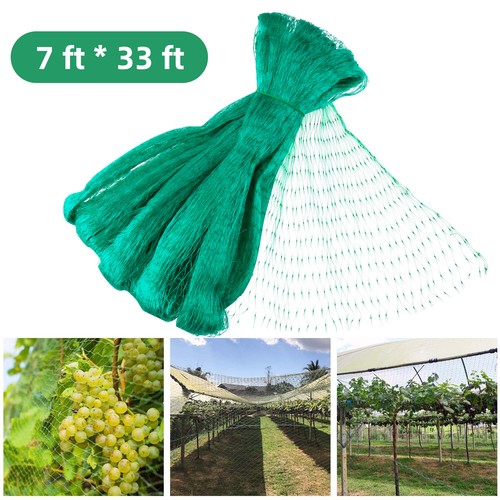 Anti Bird Net Plant Protection Netting Garden Crops Plants Veg Fruits ...