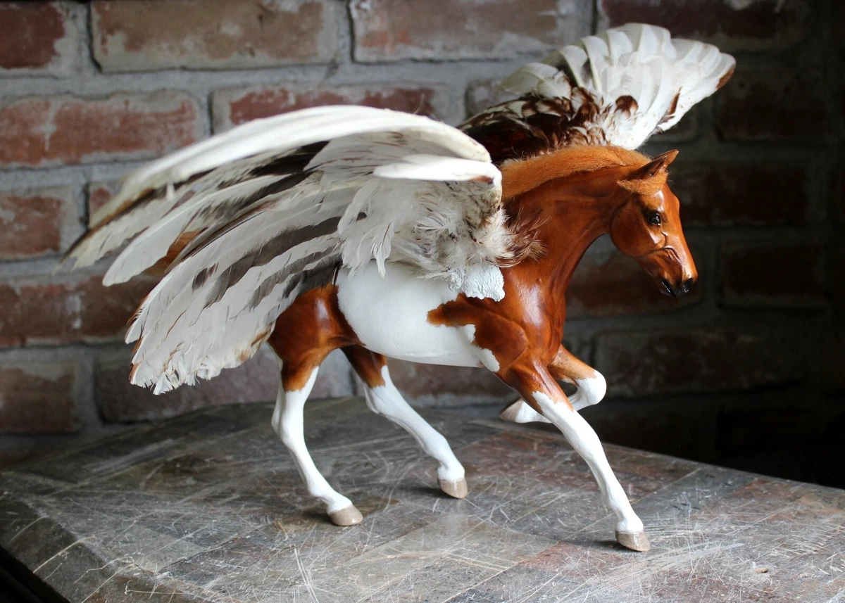 Real Pictures Of Pegasus