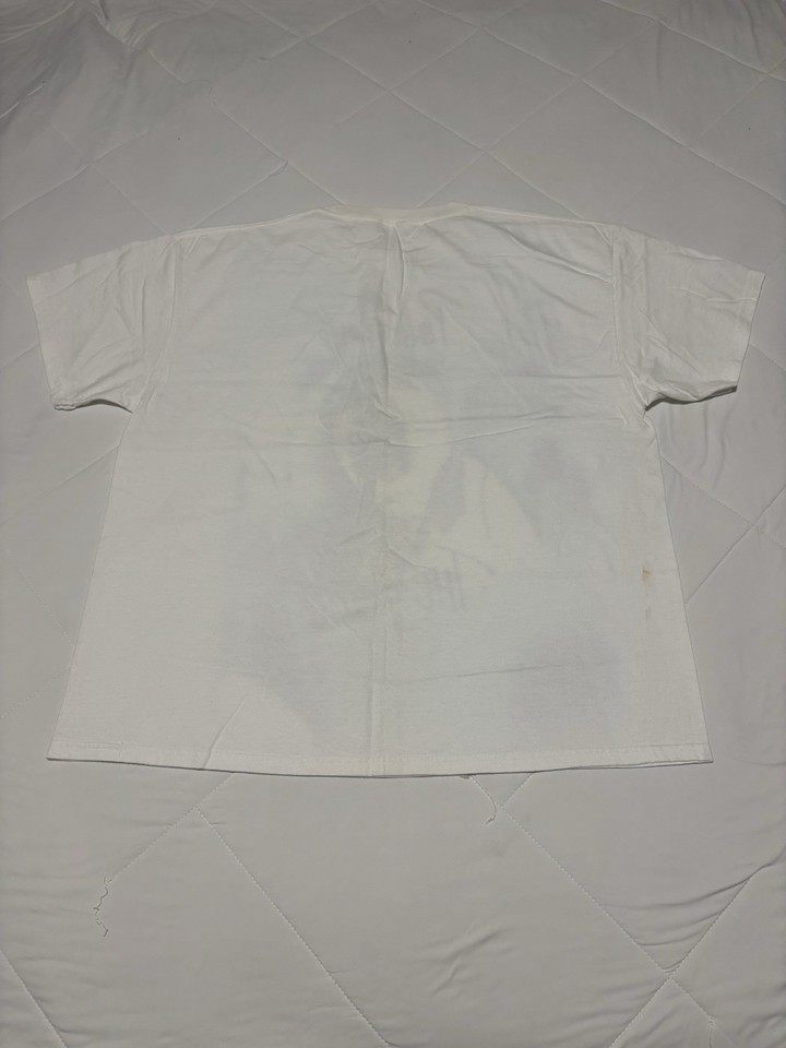 Pink Floyd Band T-Shirt Size XL The Wall Album Promo Scream Art ...