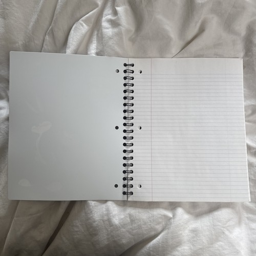 1997 Stuart Hall Looney Tunes Blues Bugs Bunny And Taz Spiral Notebook ...