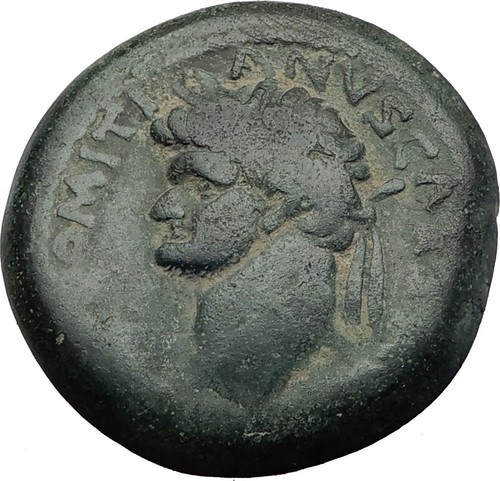 DOMITIAN 81AD Original Authentic Ancient Roman Coin Large SC of Antioch ...