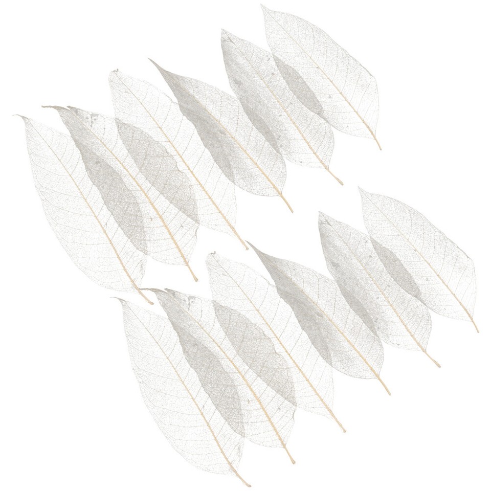 100 Pcs Leaf Vein Specimens Dry Flower Bookmark Card Embellishment ...