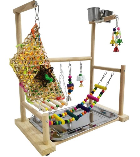 Parrot Playstand Bird Playground Conures Play Stand Wood Perch Gym ...