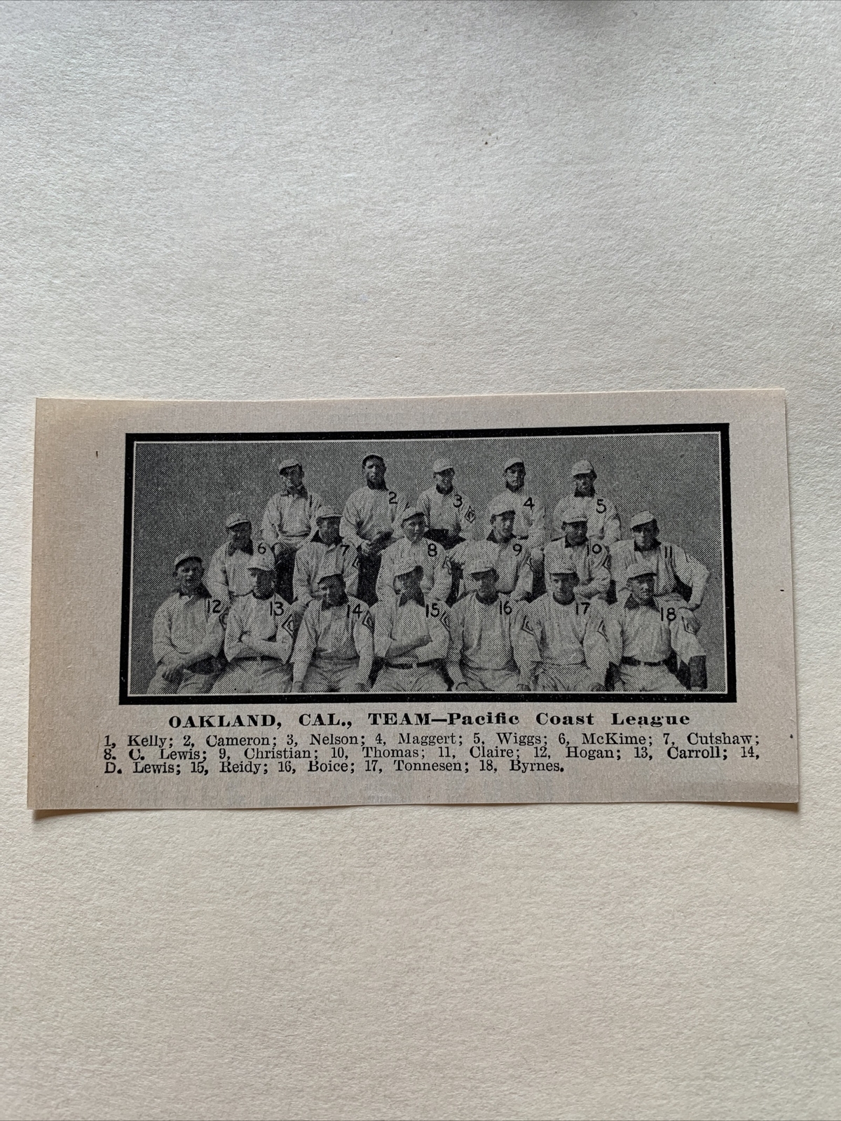 Oakland Oaks Duffy Lewis George Cutshaw Jimmy Wiggs 1909 Baseball Team ...