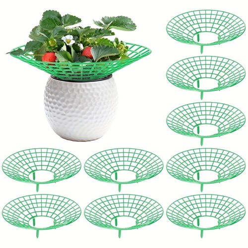 Space Saving Strawberry Support Stands 10 Pieces for Garden Efficiency ...