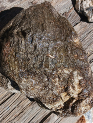 volcanic ballistic projectile block (solid rock bomb) as best as I can ...